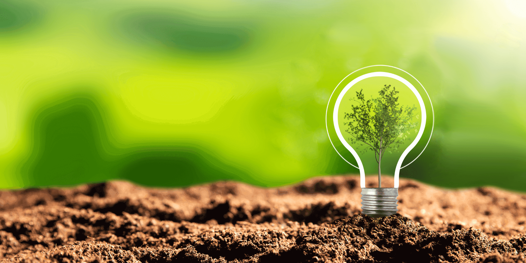 Energy Efficiency Grant (EEG) for LED Lighting Solutions